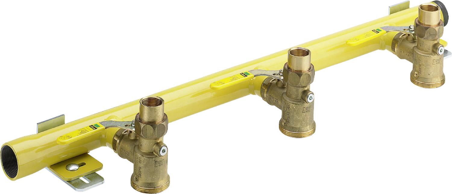 Gas meter ball valves and manifolds for single-pipe gas meters | viega.sg